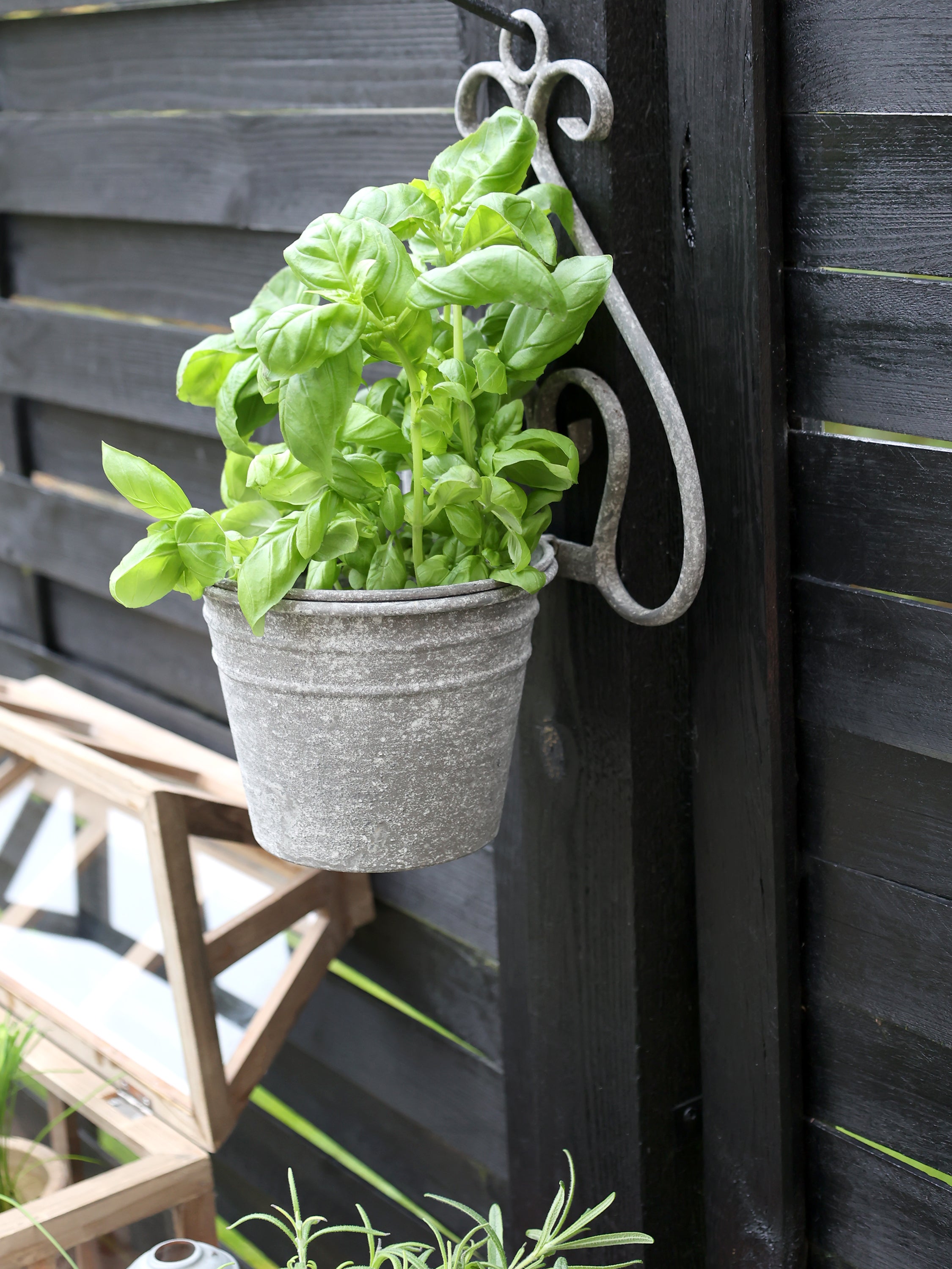 French style wall planter – Jack & Poppy
